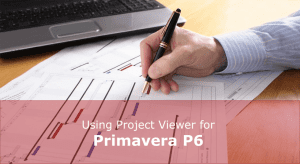 5 Reasons Why Big Companies Use Primavera Viewer for P6 Projects