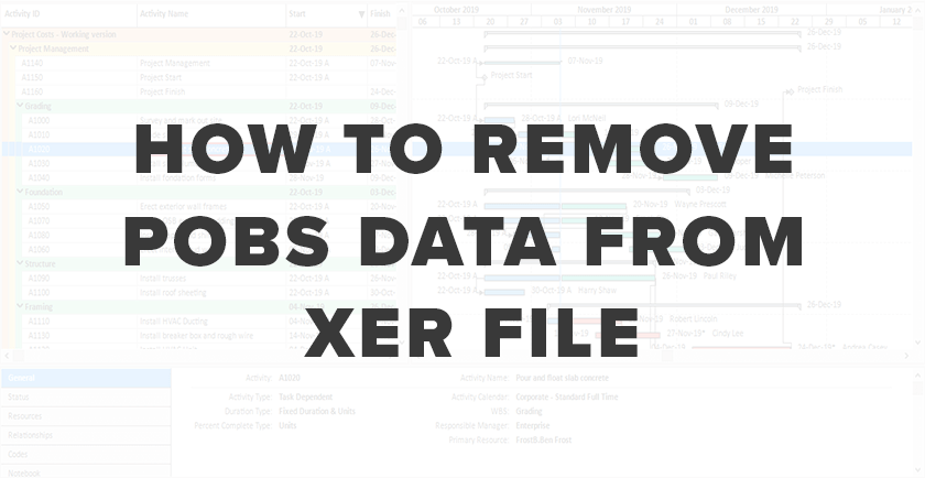 How to Remove POBS Data from Primavera P6 XER Files? - Safe & Fast
