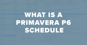 What is a Primavera P6 Schedule? - Primavera Schedules Explained