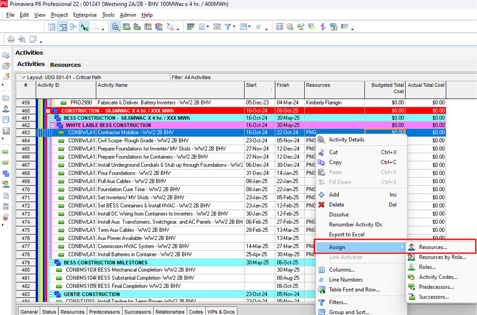 Resource Management with Primavera P6